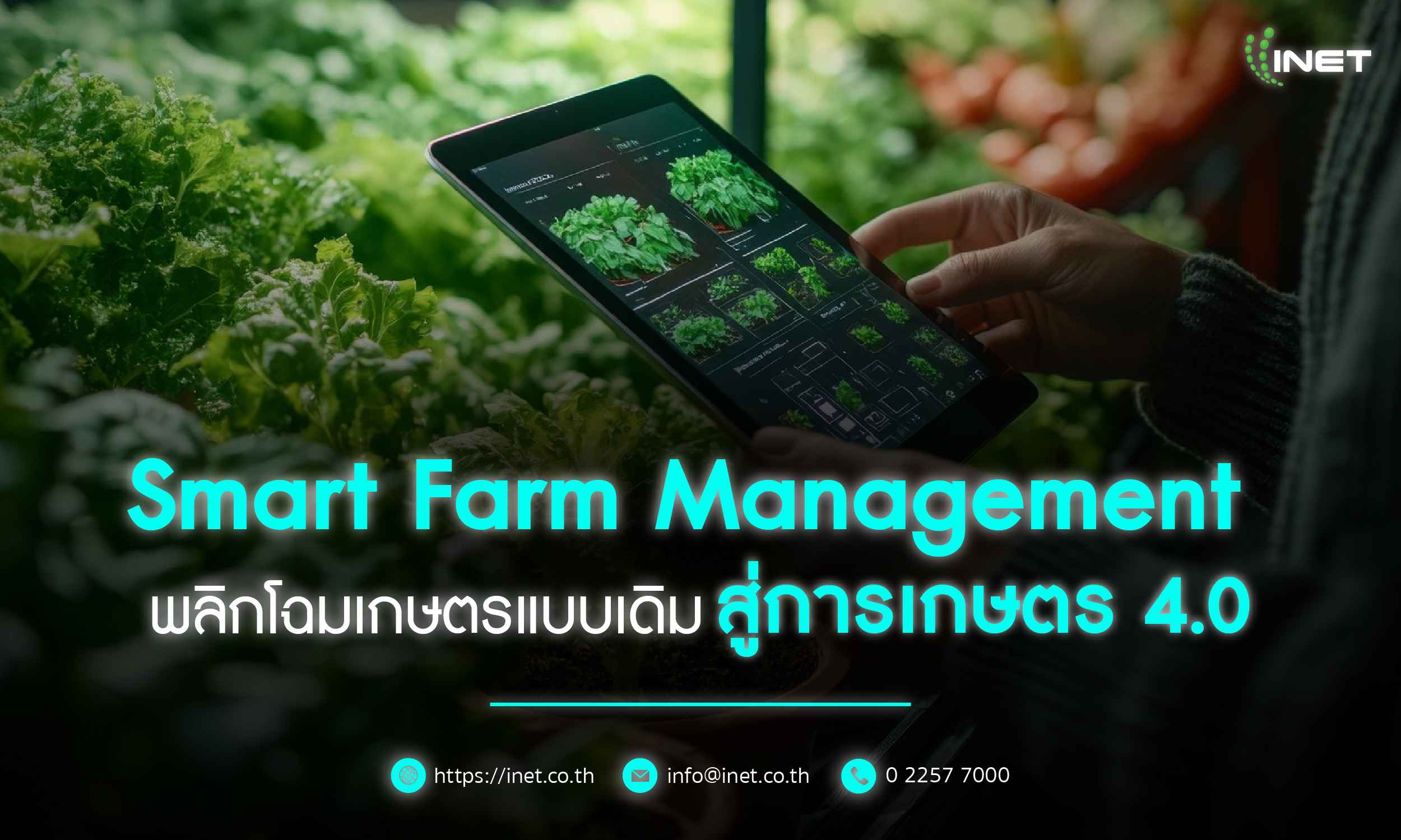 Smart Farm Management พลิกโฉมเกษตรแบบเดิม สู่การเกษตร 4.0